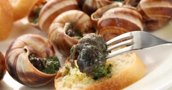 What do french people eat? Escargot is the one! - Secret Food Tours