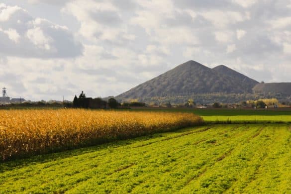 The most expensive French food | Secret Food Tours