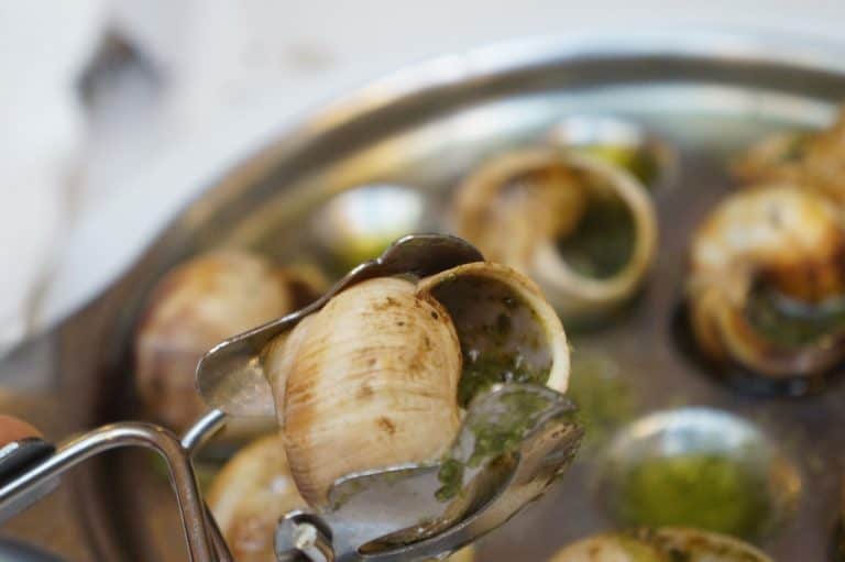 Escargot: Everything You Should Know Before Eating