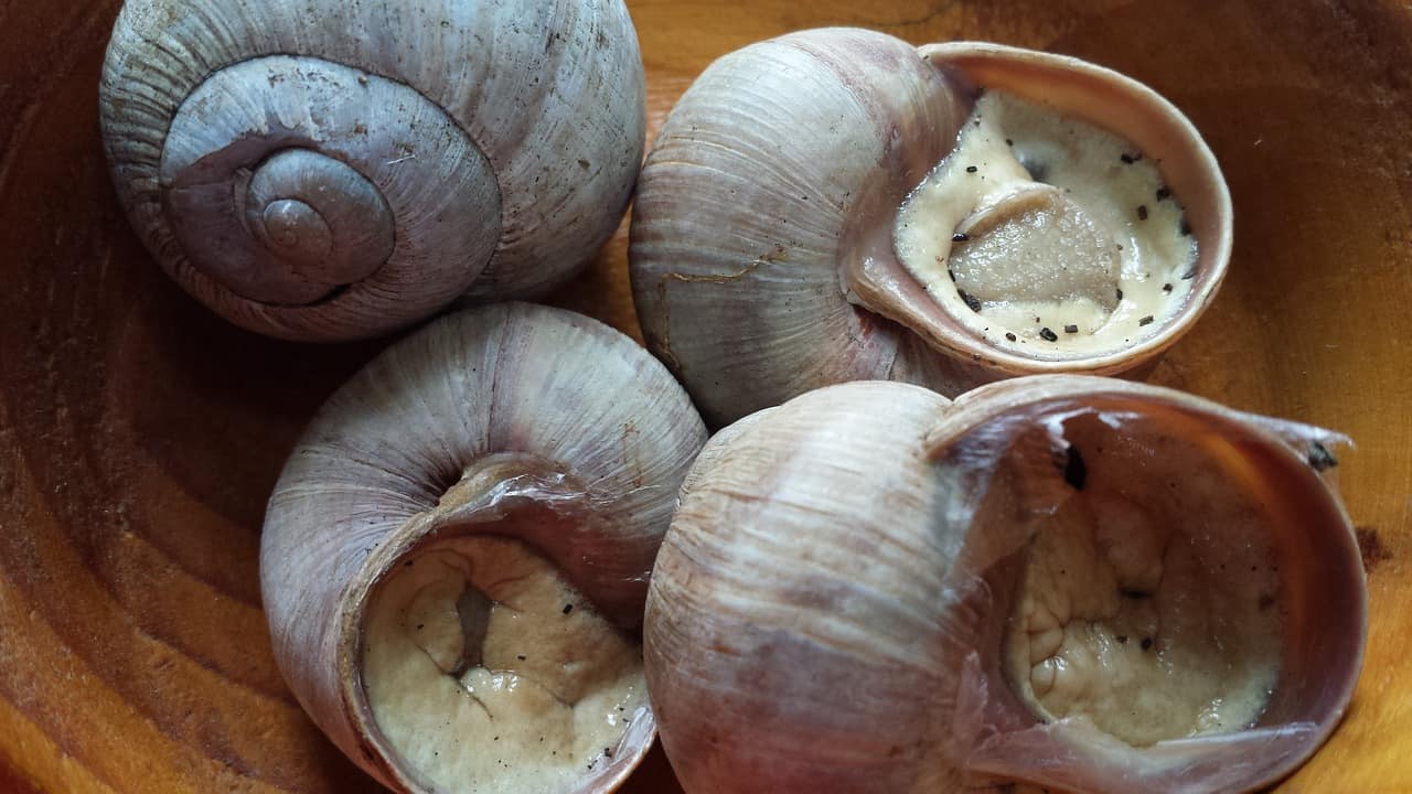 Escargot: Everything You Should Know Before Eating